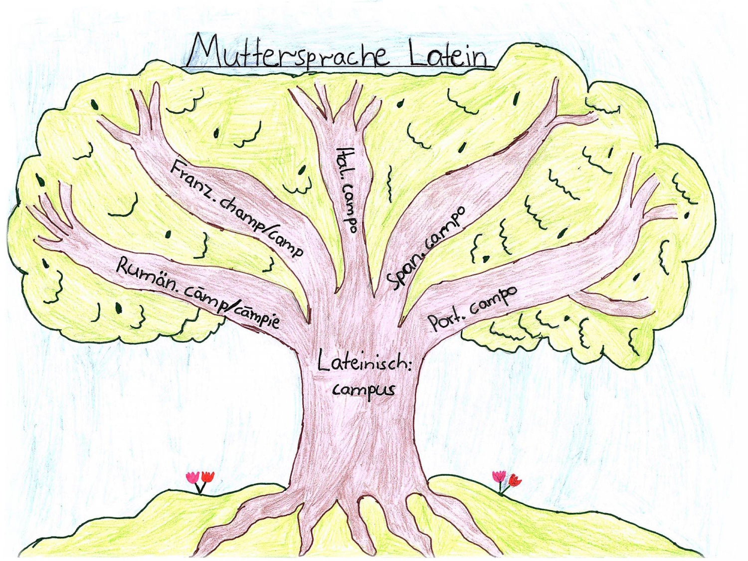 Latein – Heinrich-Boell-Gymnasium